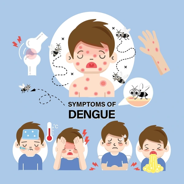7 Warning Signs Of Dengue Fever In Kids A Guide By WhiteCoat 7 Warning Signs Of Dengue Fever In Kids A Guide By WhiteCoat